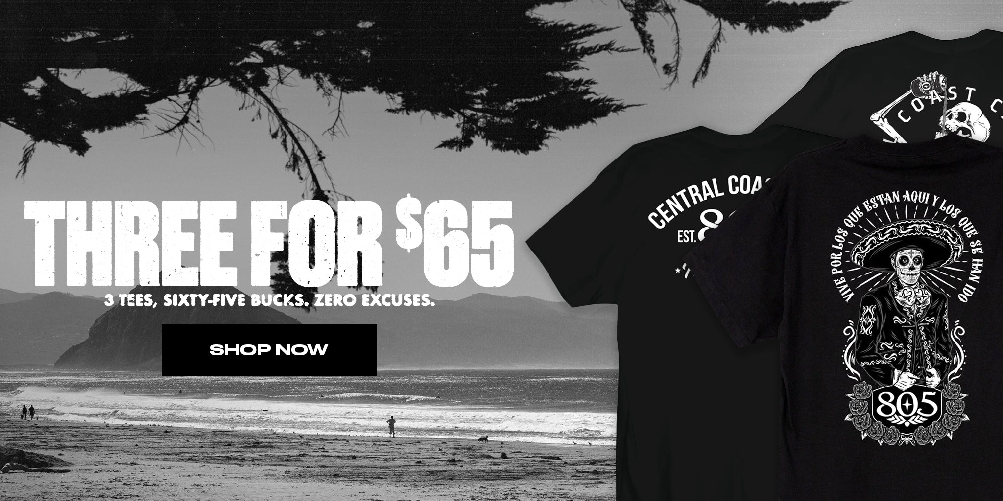 805 Beer - The Official Store – Firestone Walker Brewing Company